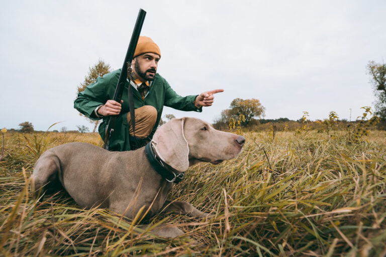 4 Advantages of Hunting with a Dog | Lankas Labs
