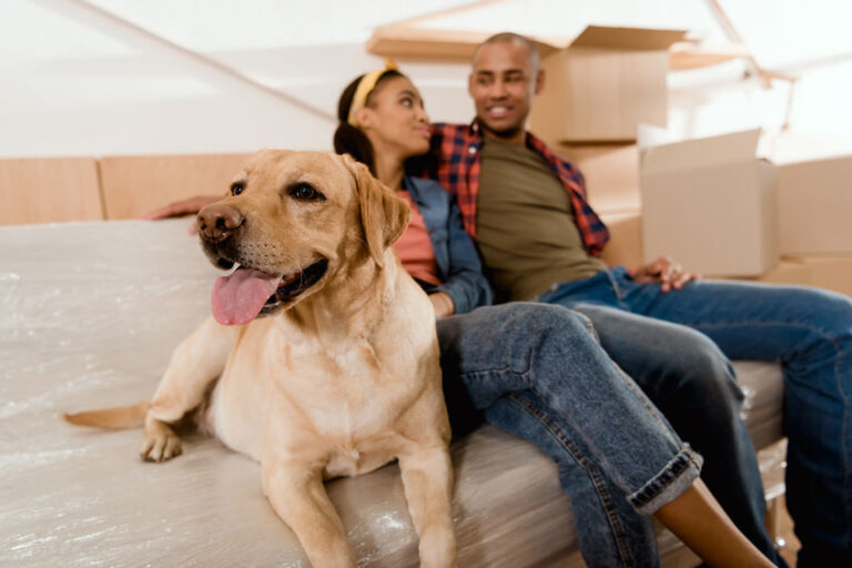 Tips for Adjusting Your Dog into a New Home | Lankas Labs